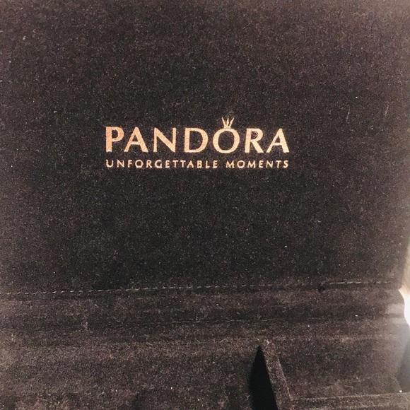 Pandora | Storage & Organization | Pandora Unforgettable Moments ...